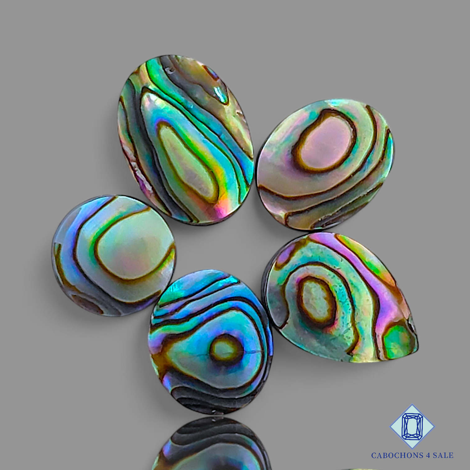 Abalone Shell Mix Shape Lots | Shimmering shell cabochons for unique ...