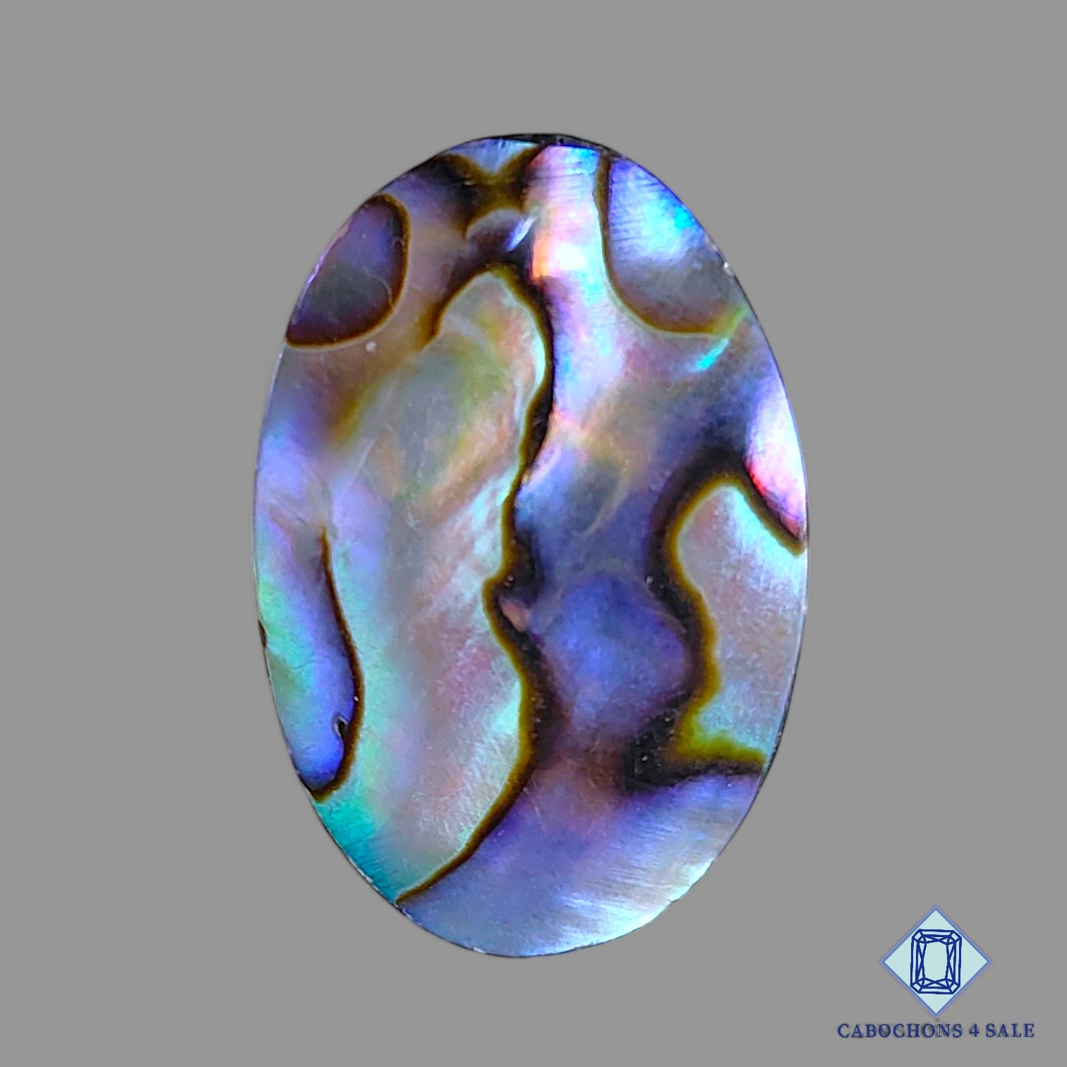 Polished Abalone Shell Cabochons for wire wrapping | Iridescent Beauty ...
