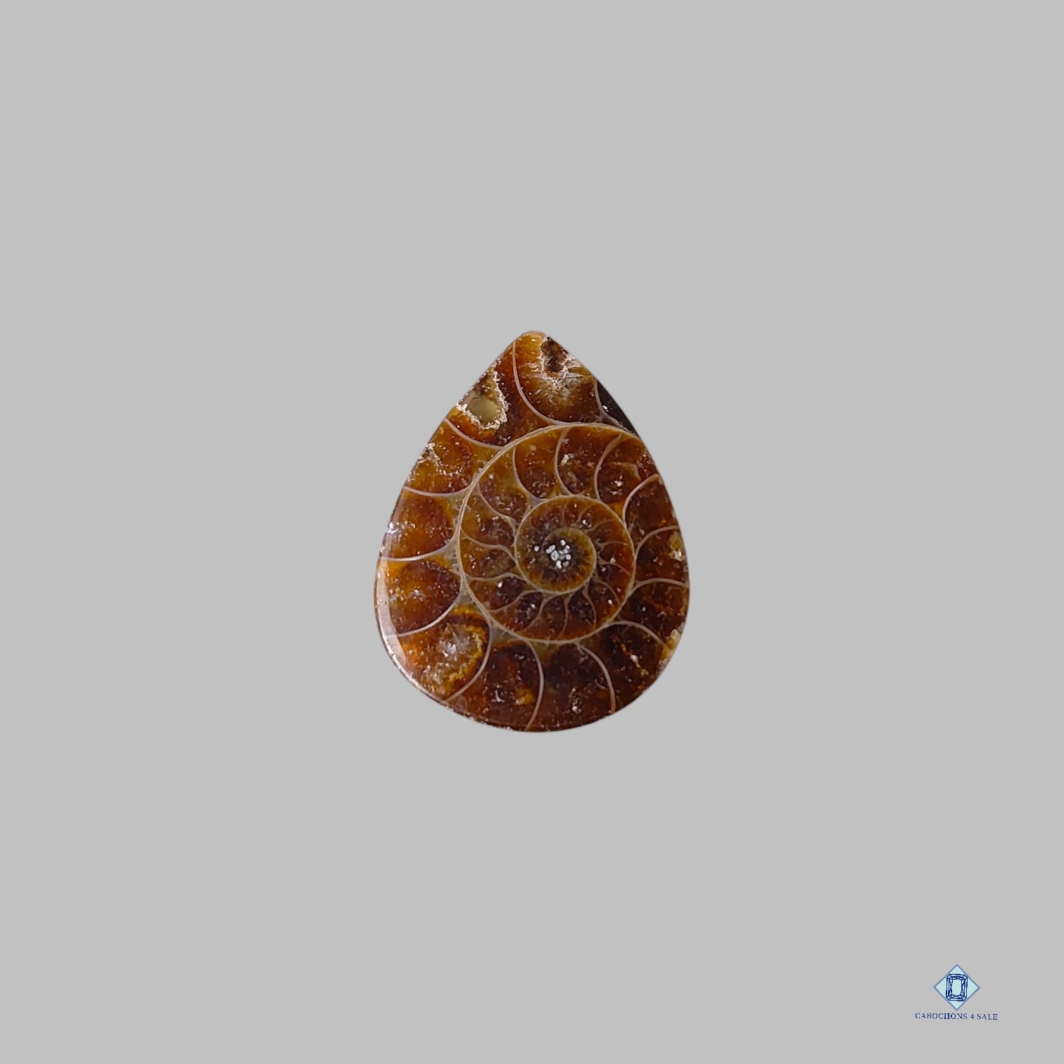 Ammonite Oval Cabochons Ready to Ship | Perfect Fossil Gemstones for ...