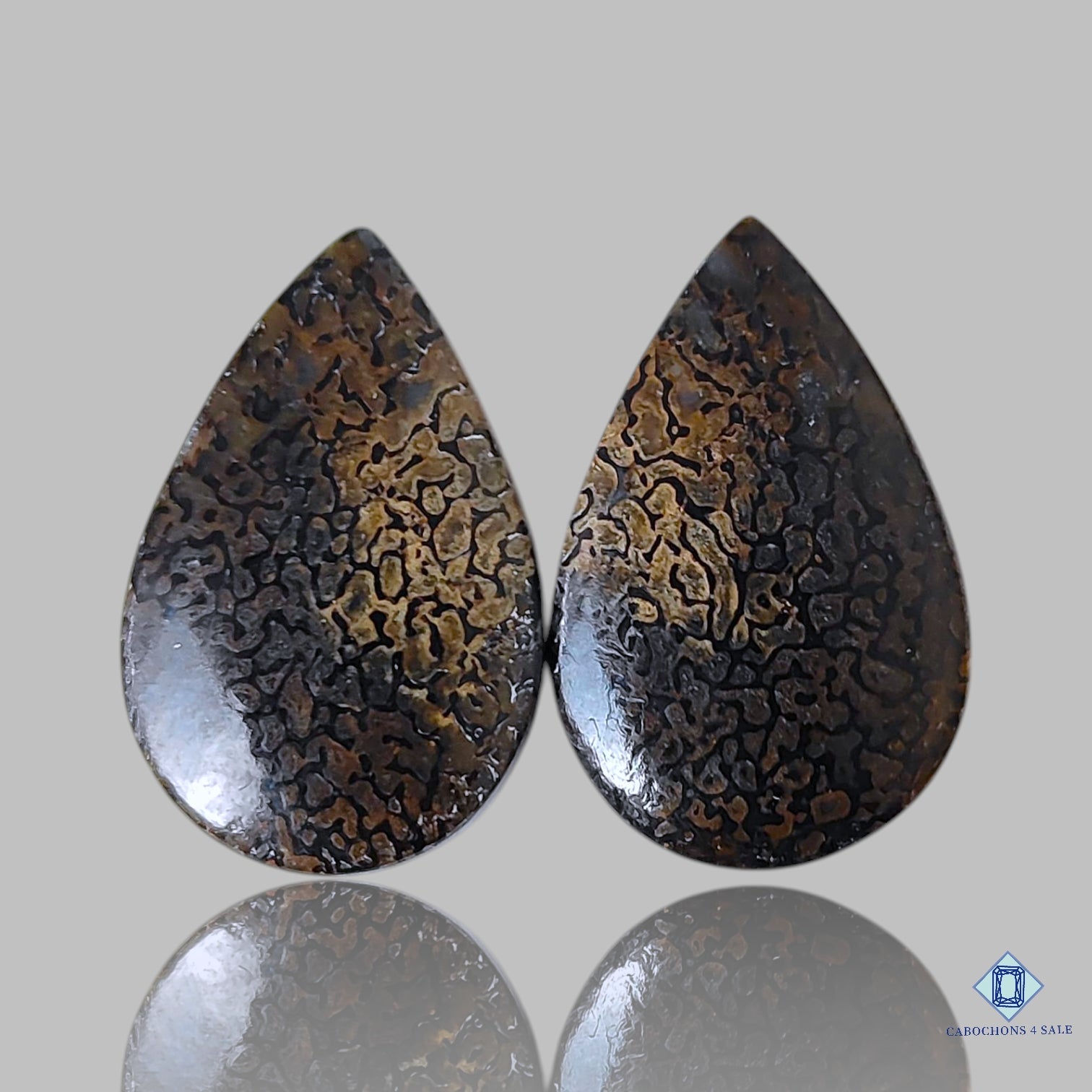 Dinosaur Bone cabochons pair for pendants | Rare fossil gemstone for ...